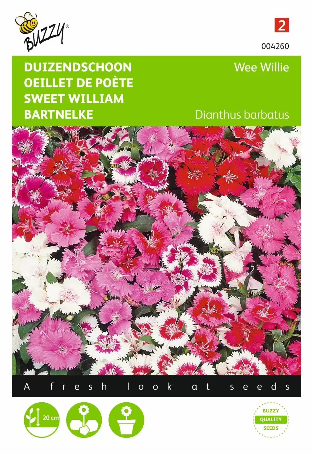 Buzzy® Dianthus, Duizendschoon Wee Willie gemengd - GroenRijk Beneden ...