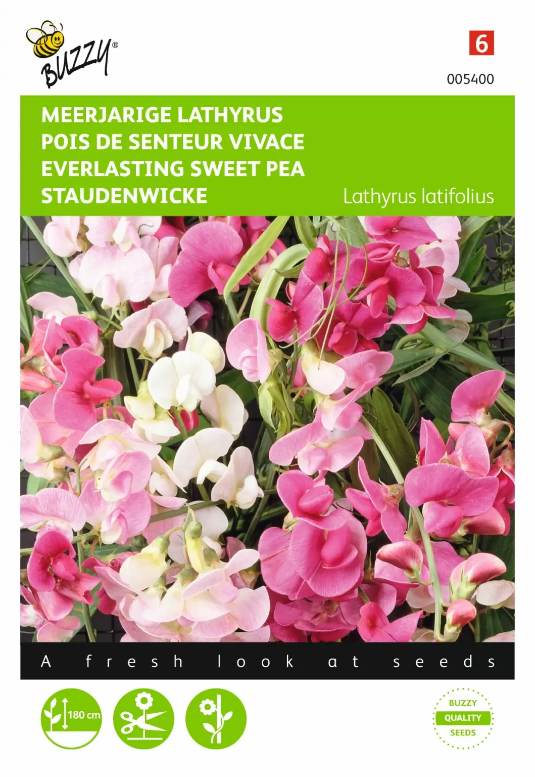 BUZZY Lathyrus latifolius mix 2g - GroenRijk Beneden Leeuwen | Een mooi ...