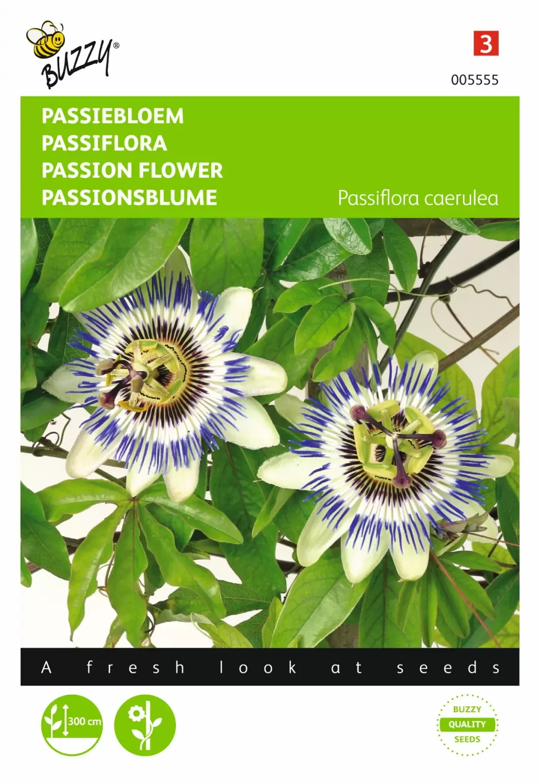 BUZZY Passiflora coerulea 0.33g - GroenRijk Beneden Leeuwen | Een mooi ...