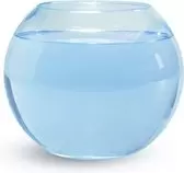 Viskom d35cm glad - GroenRijk Beneden Leeuwen | Een mooi tuincentrum ...