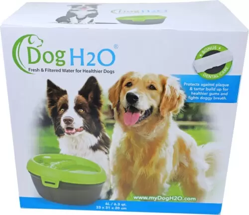 Waterbak hond h2o 6l - GroenRijk Beneden Leeuwen | Een mooi tuincentrum ...